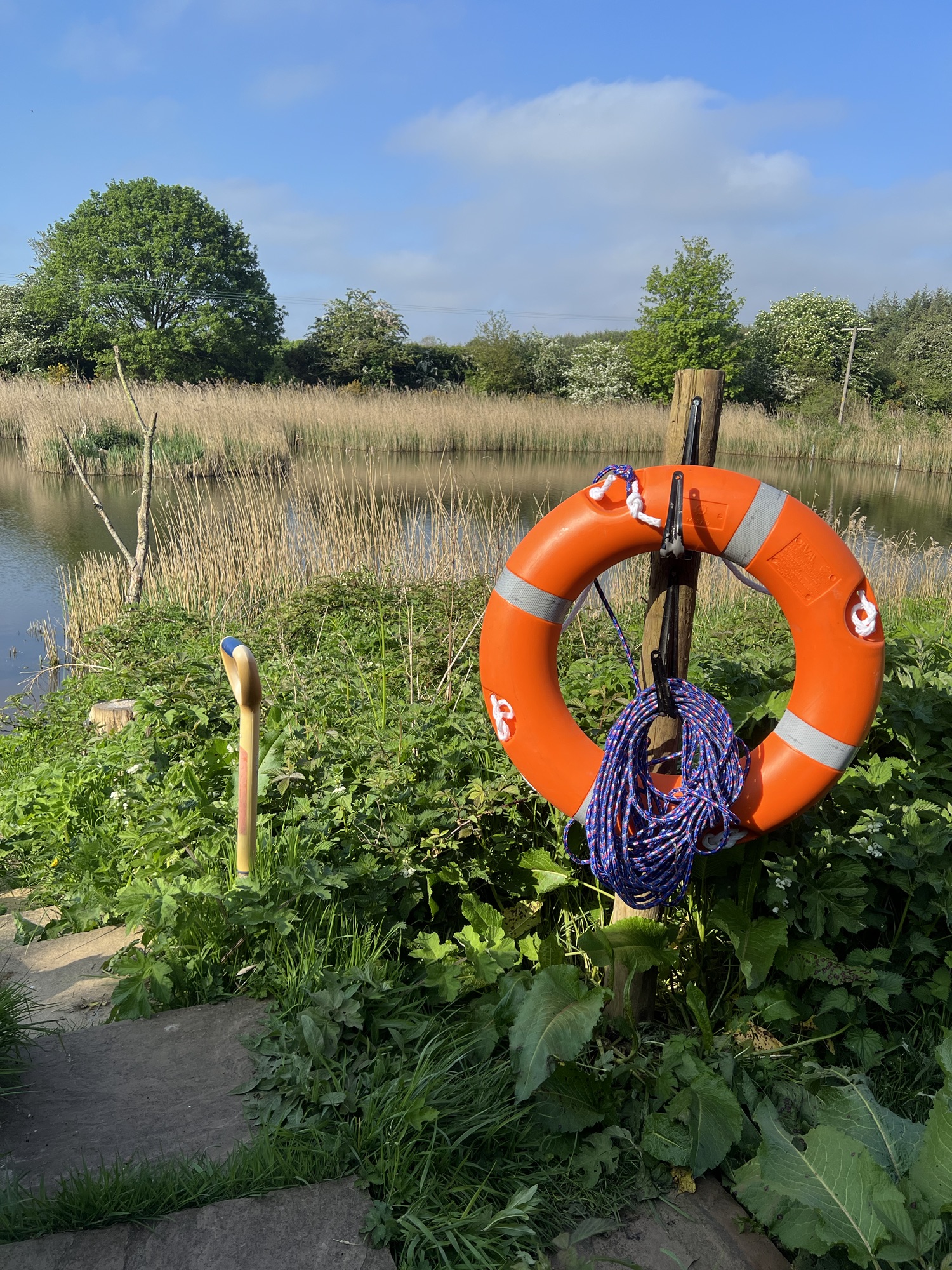 A real life saver | petesbogblog