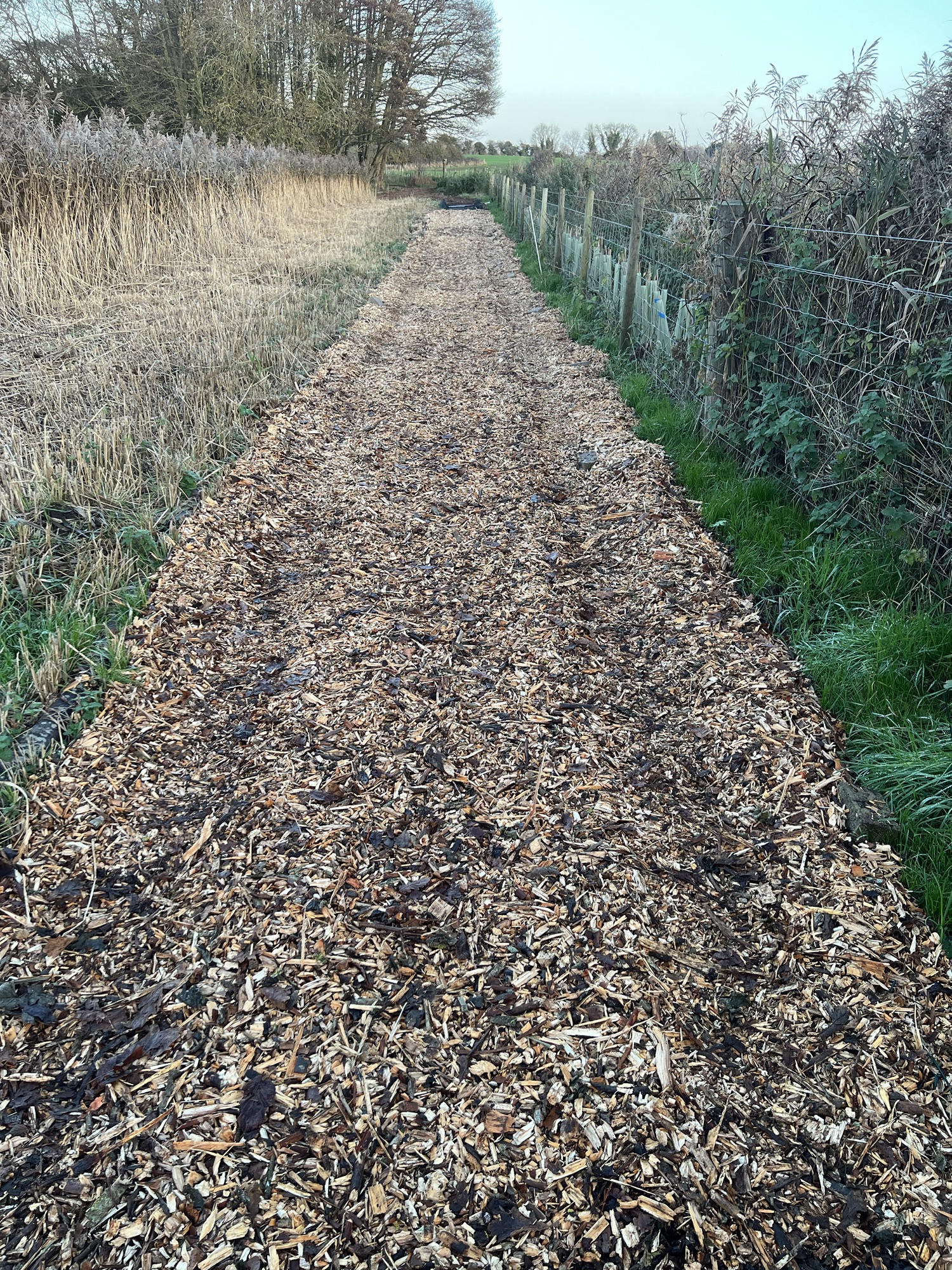 Chip off the block II | petesbogblog